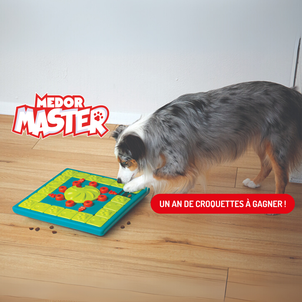 Animalerie en ligne : alimentation et accessoires pour animaux - Médor ...