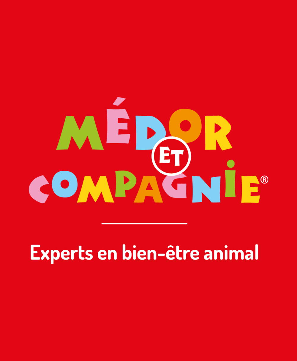 Nous connaître | Médor et Compagnie®