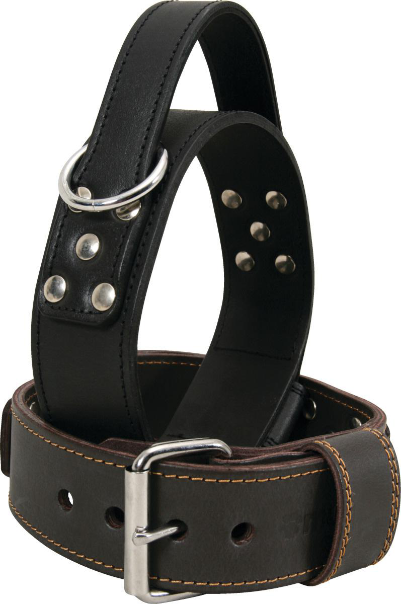 Collier Chien – Zolux Collier à poignée Noir – 70 cm